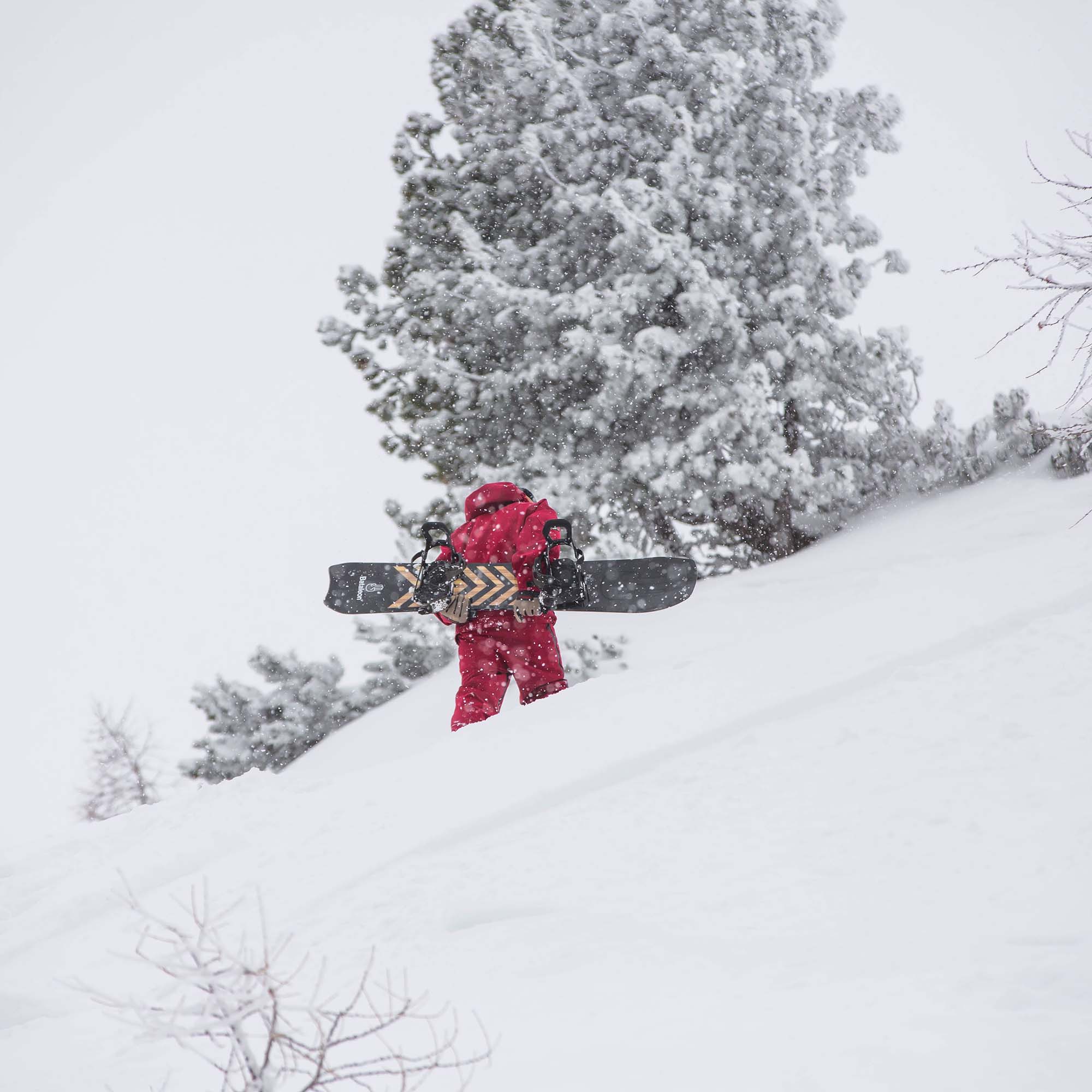 Bataleon Camel Two All Mountain/Powder Snowboard 2024