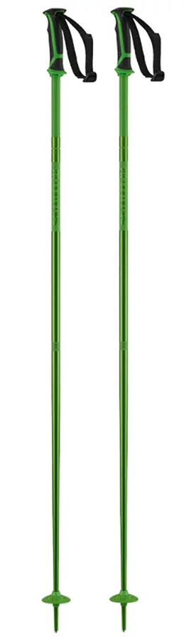 Salomon Arctic Ski Poles | Absolute-Snow