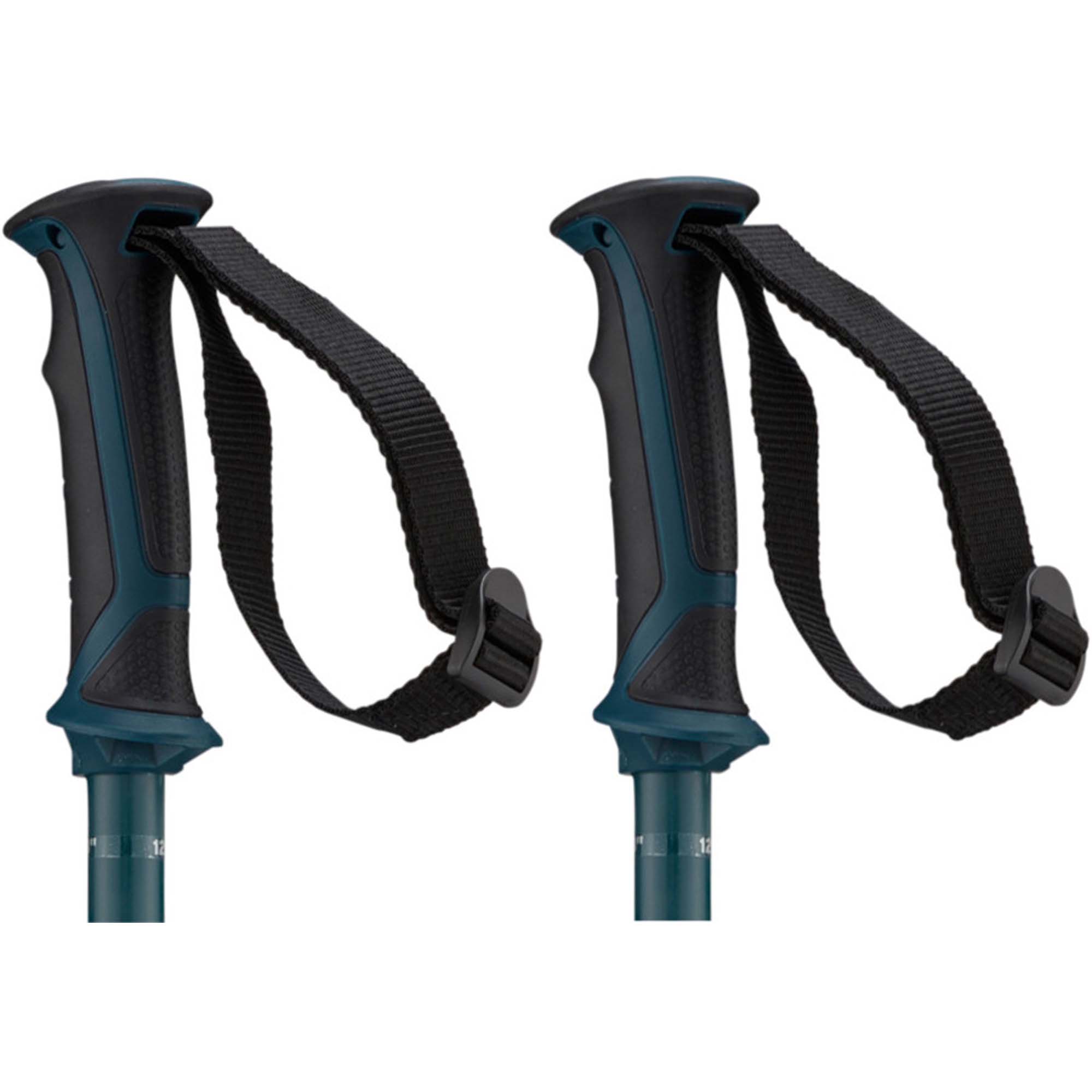 Salomon Arctic Ski Poles | Absolute-Snow