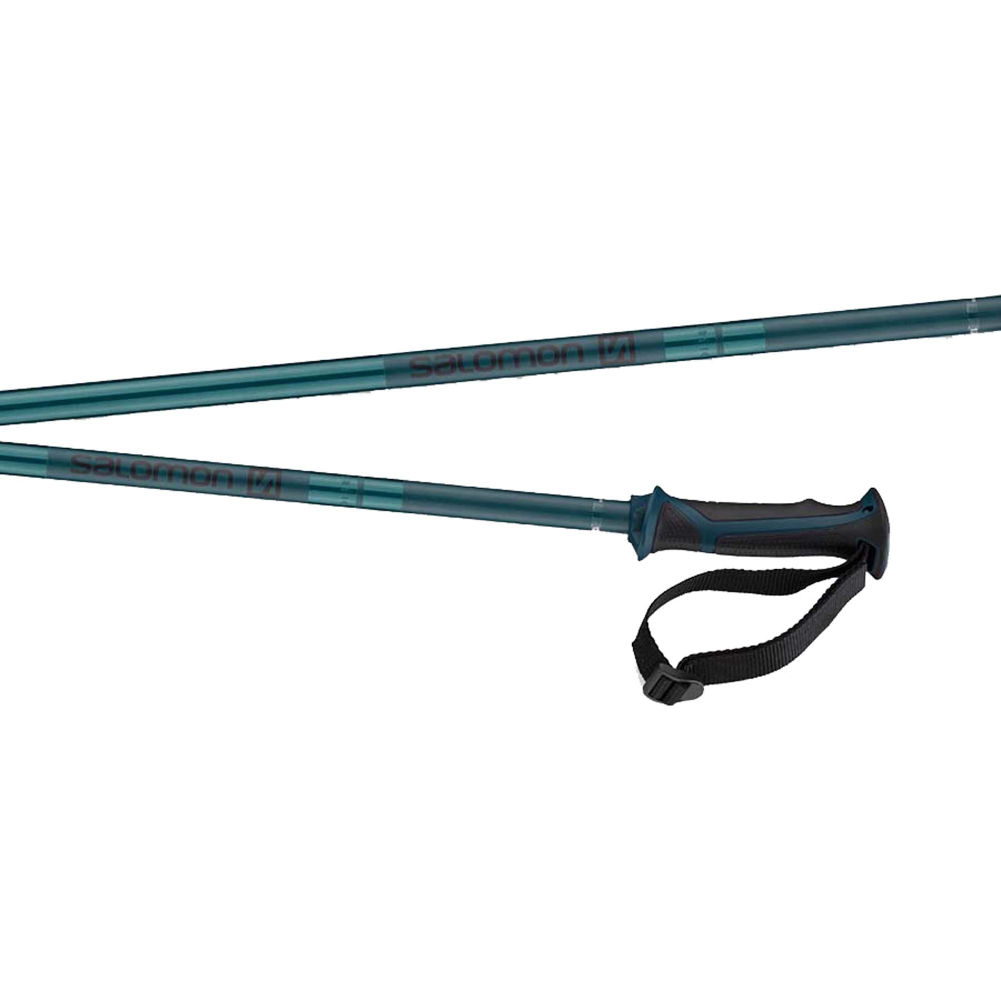 Salomon Arctic Ski Poles | Absolute-Snow