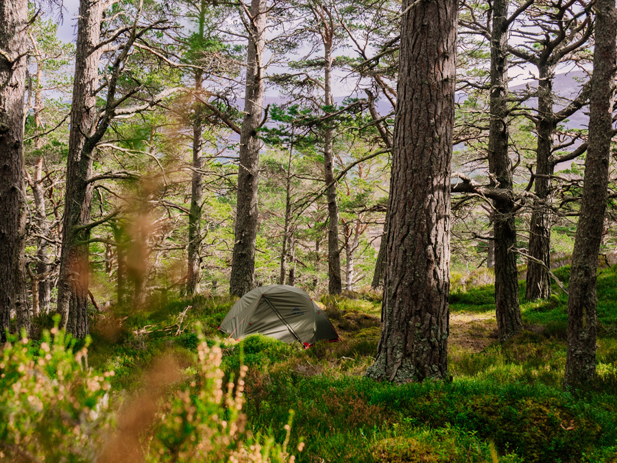 MSR Elixir 1 V2 Backpacking Tent with Footprint | Absolute-Snow