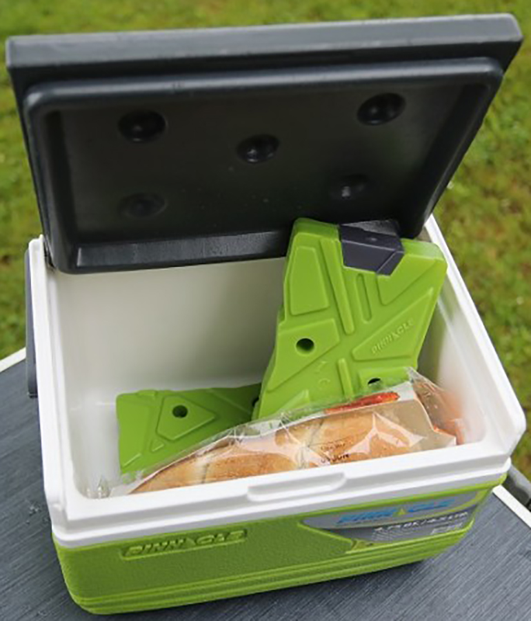 Vango Ice Bricks Freezer & Coolbox Packs | Absolute-Snow